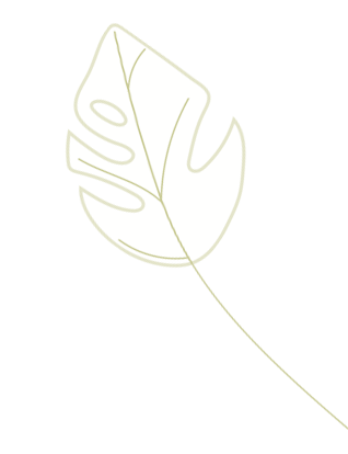 Laura Zauner – Psychotherapie in St. Pölten und Melk